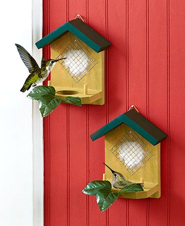 9 DIY Hummingbird House Plans You Can Build - Handy Keen